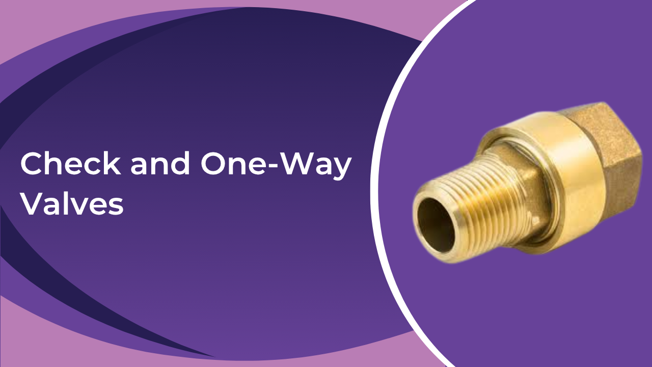Check And One-Way Valves Product Manufacturer And Supplier In India ...